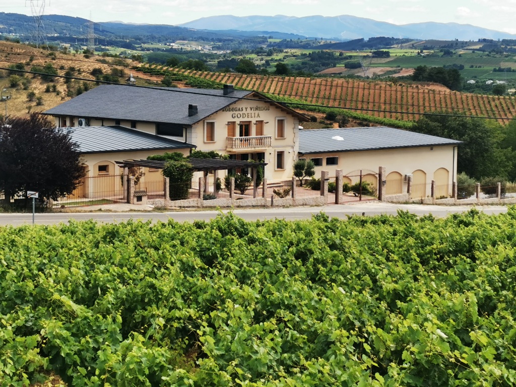 Godelia, comprometidos con el Bierzo – EL VIAJE