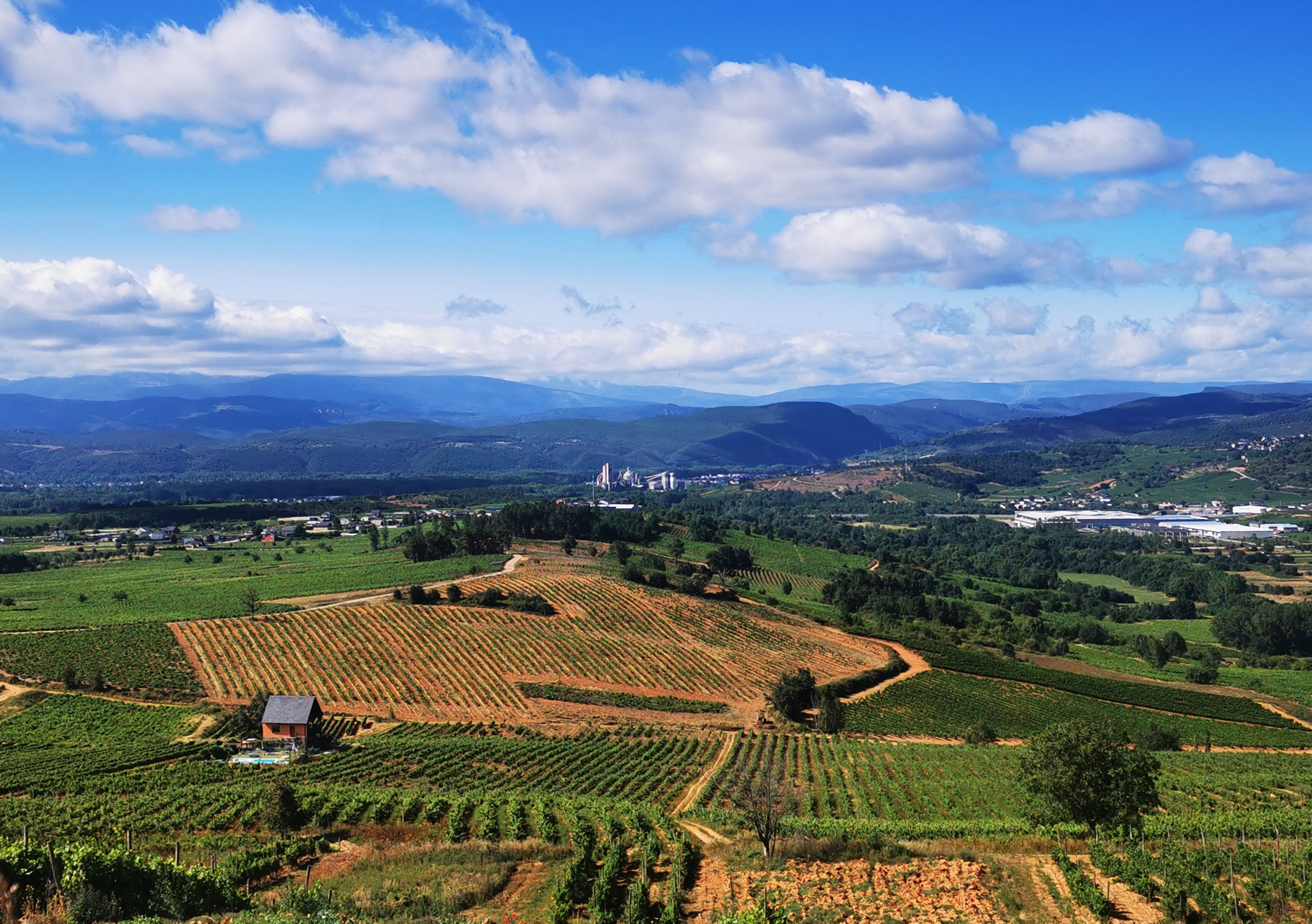 Vinos de villa o de paraje. La nueva clasificación de la DO Bierzo – EL ...