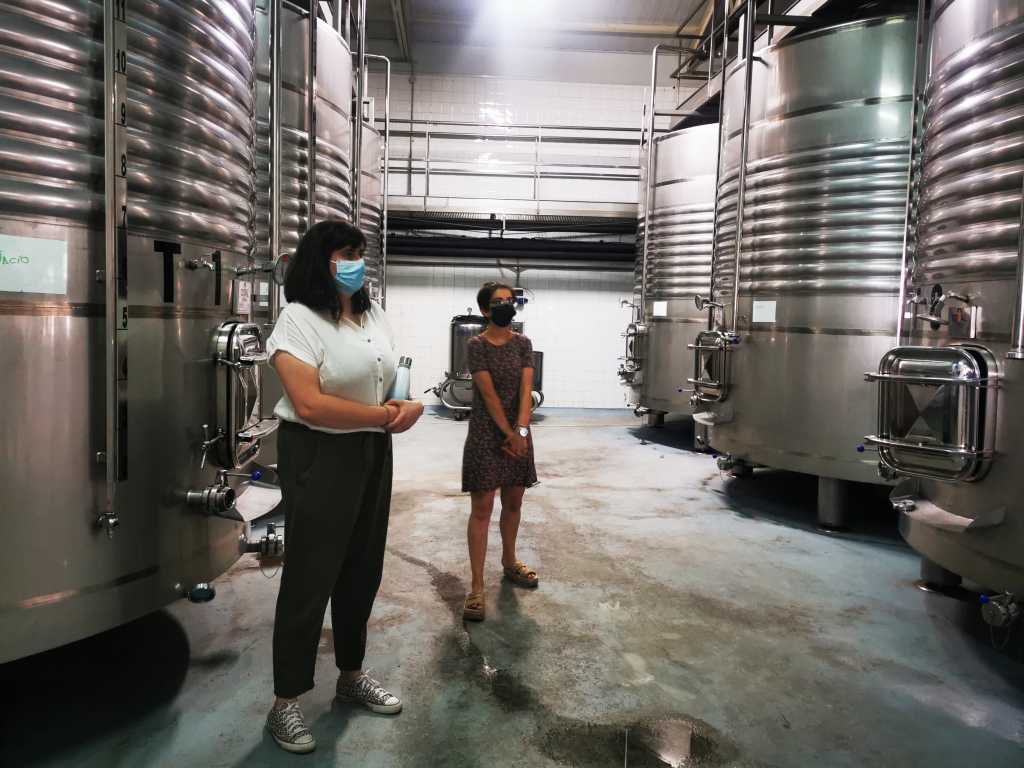 Bodegas Estefanía y el ‘slow enology’ de MGWines – EL VIAJE