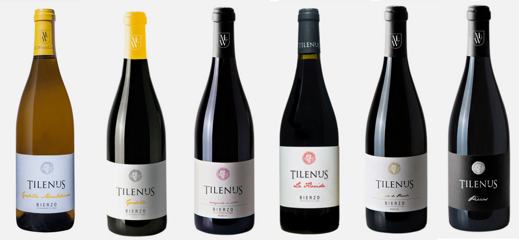 Bodegas Estefanía y el ‘slow enology’ de MGWines – EL VIAJE