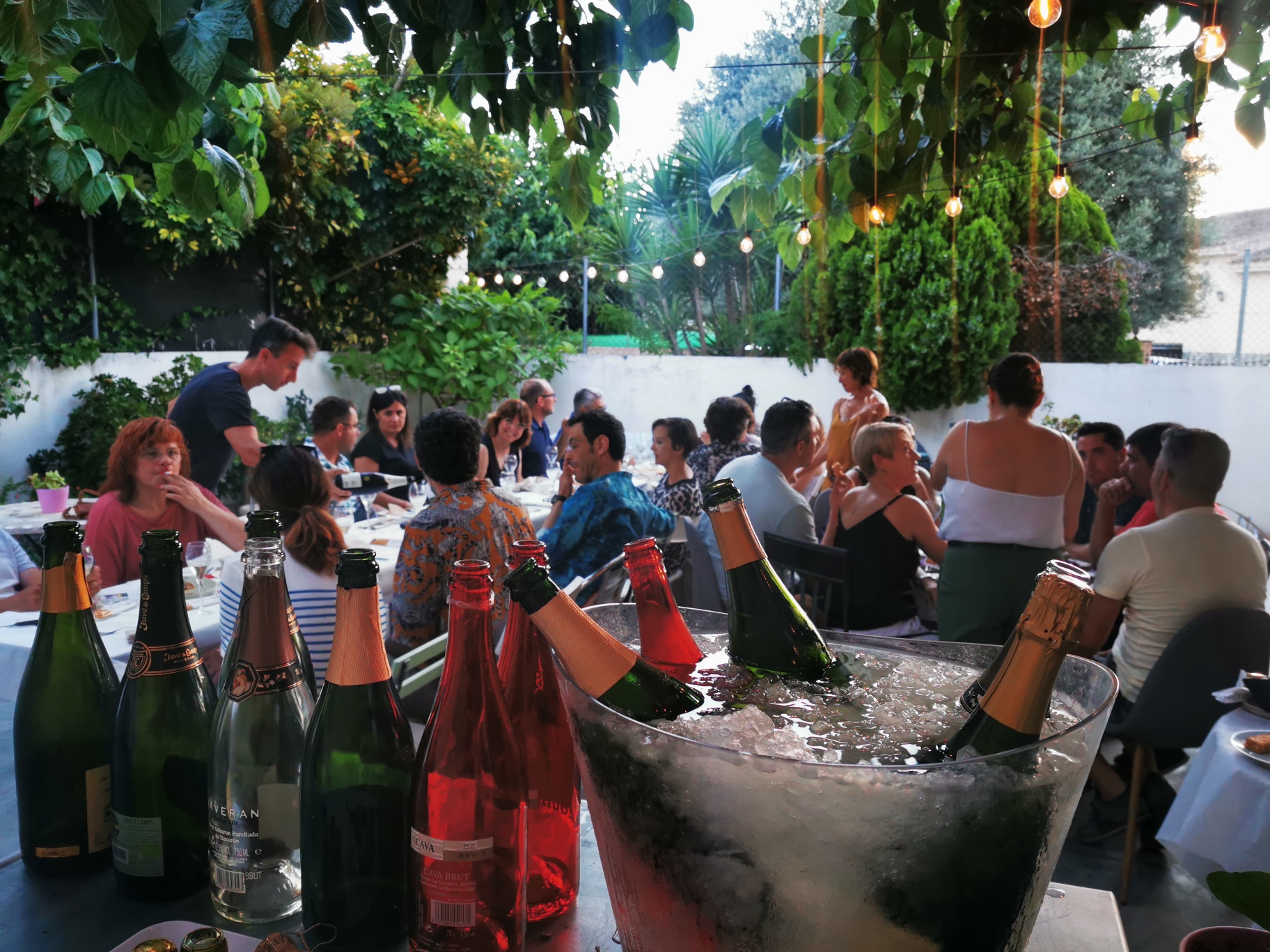 Tipos de cata para amateurs – EL VIAJE